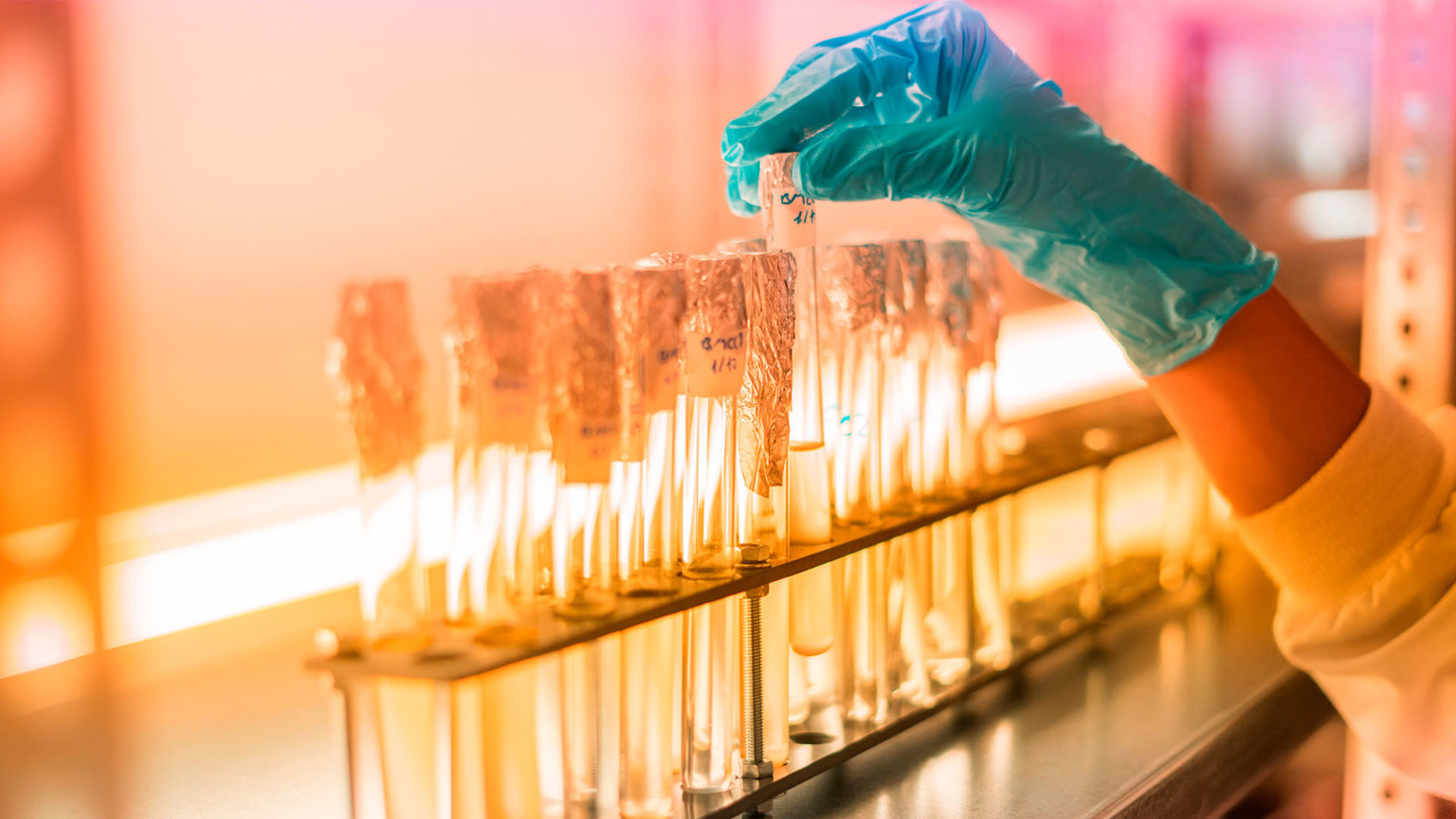 Mold Testing Austin, TX | Free Estimates Over The Phone